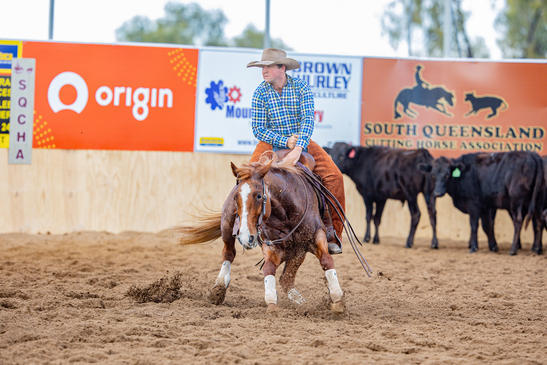 Sold Horses – Banshee Performance Horses